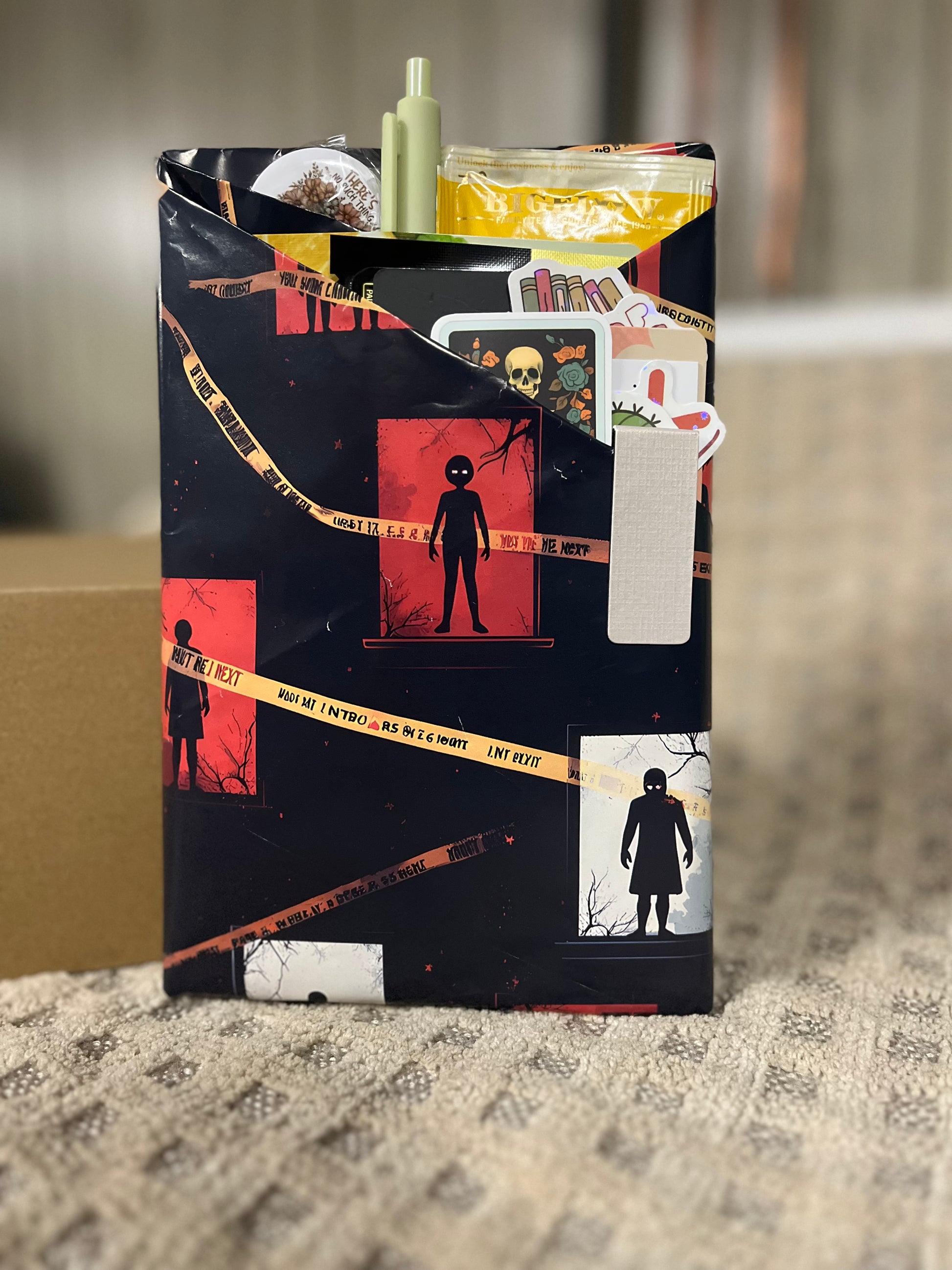 Mystery/Thriller Blind Date Book Bundle – Hidden Chapters